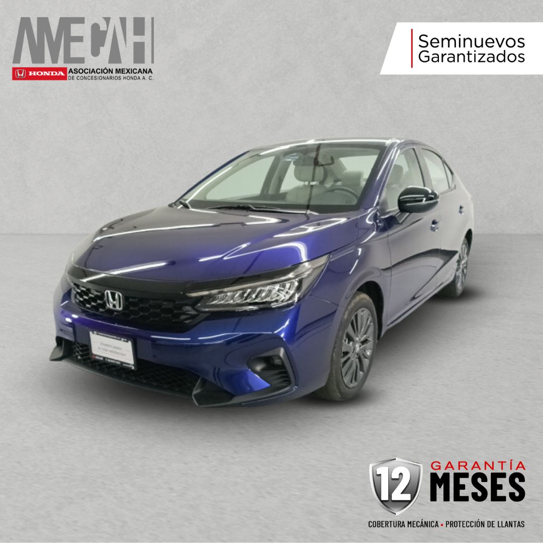 AMECAH - Sitio Demo